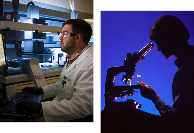 About Us - RJ Lee Group